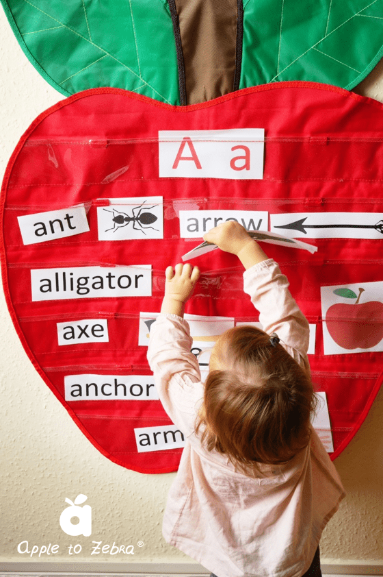 Pocket Charts | Apple to Zebra